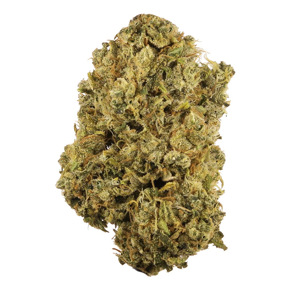 Dubai Poison Feminized Seeds